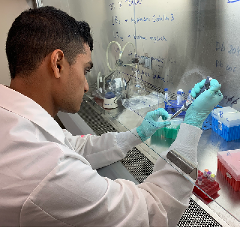 Dr. Liz Horn Explains How Lyme Disease Biobank Samples are Foundational ...