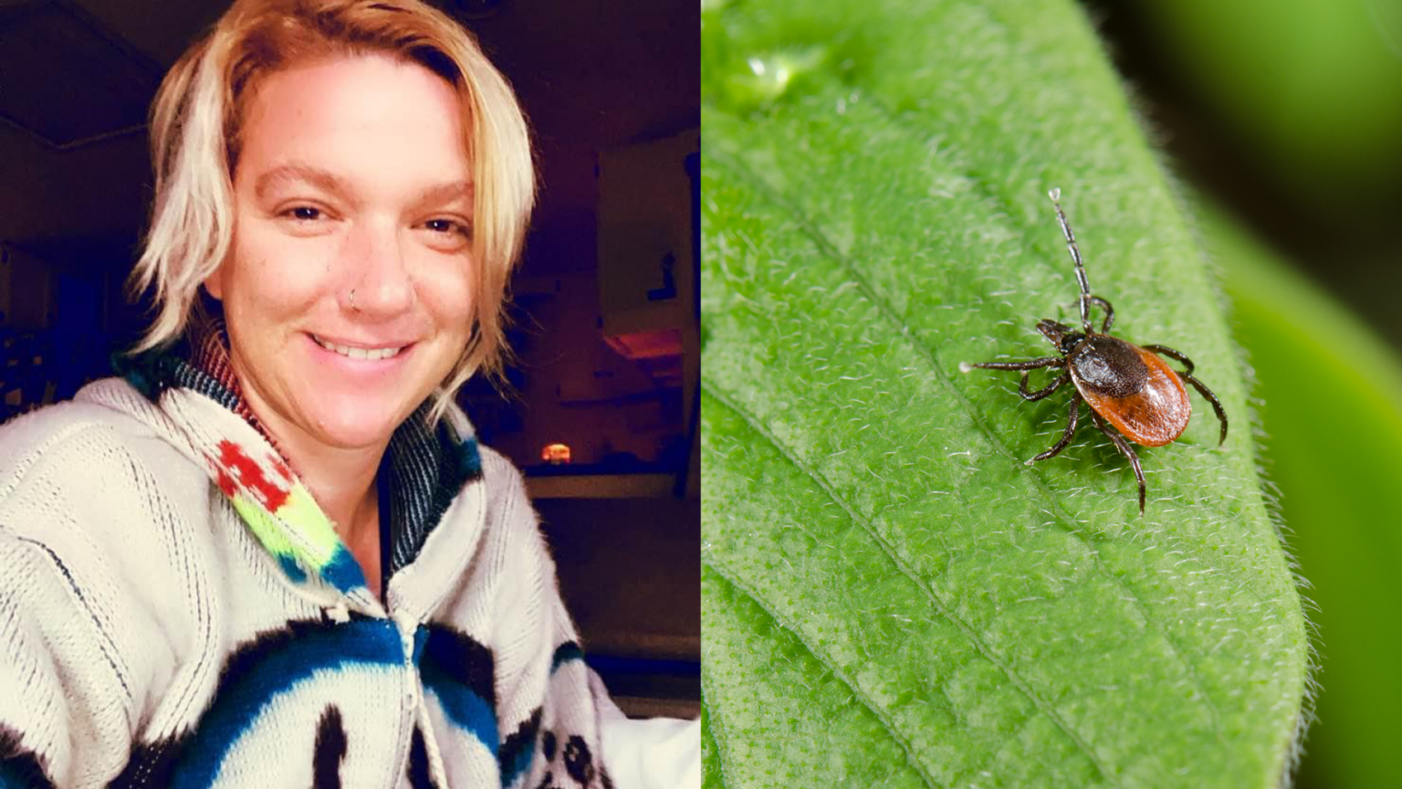 Blog - Bay Area Lyme Foundation