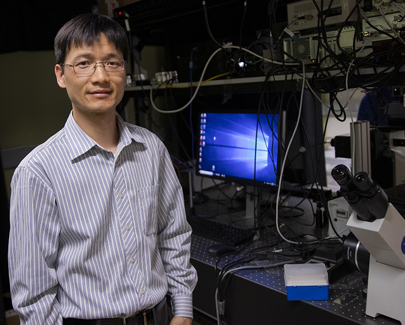 Chao Wang, PhD - Bay Area Lyme Foundation