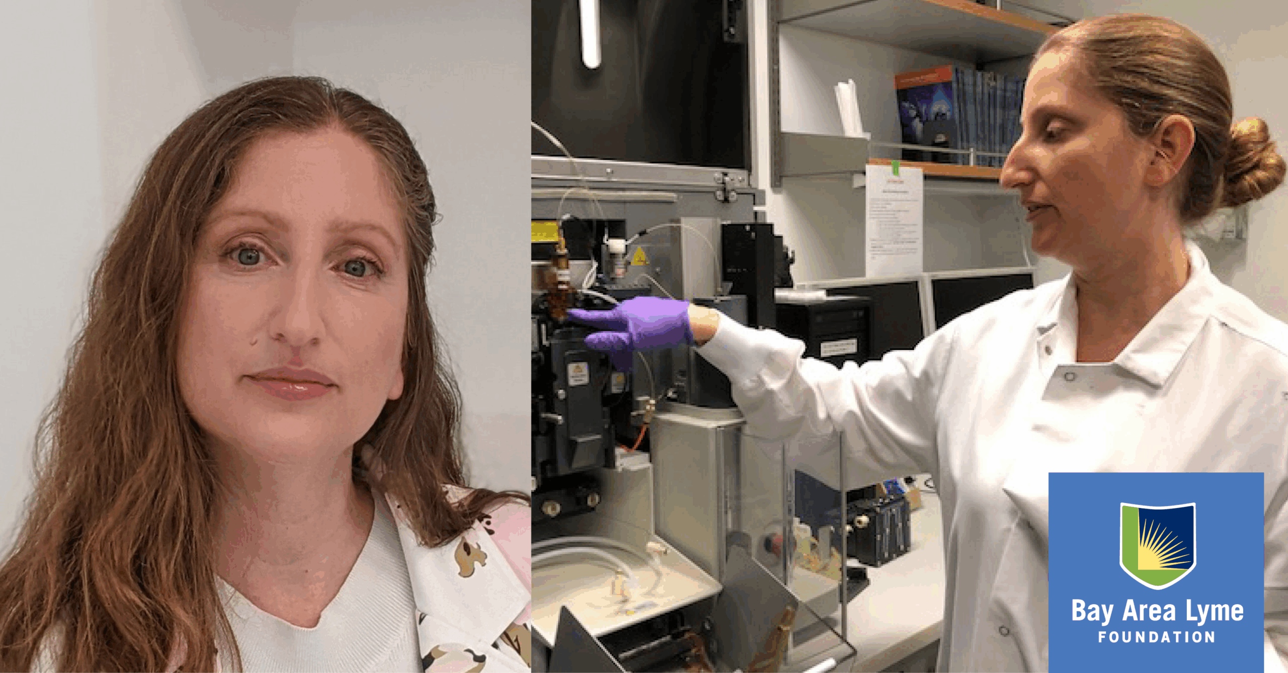 Chronic Infections, Fertility, & Immunity: MIT Immunoengineer Makes ...