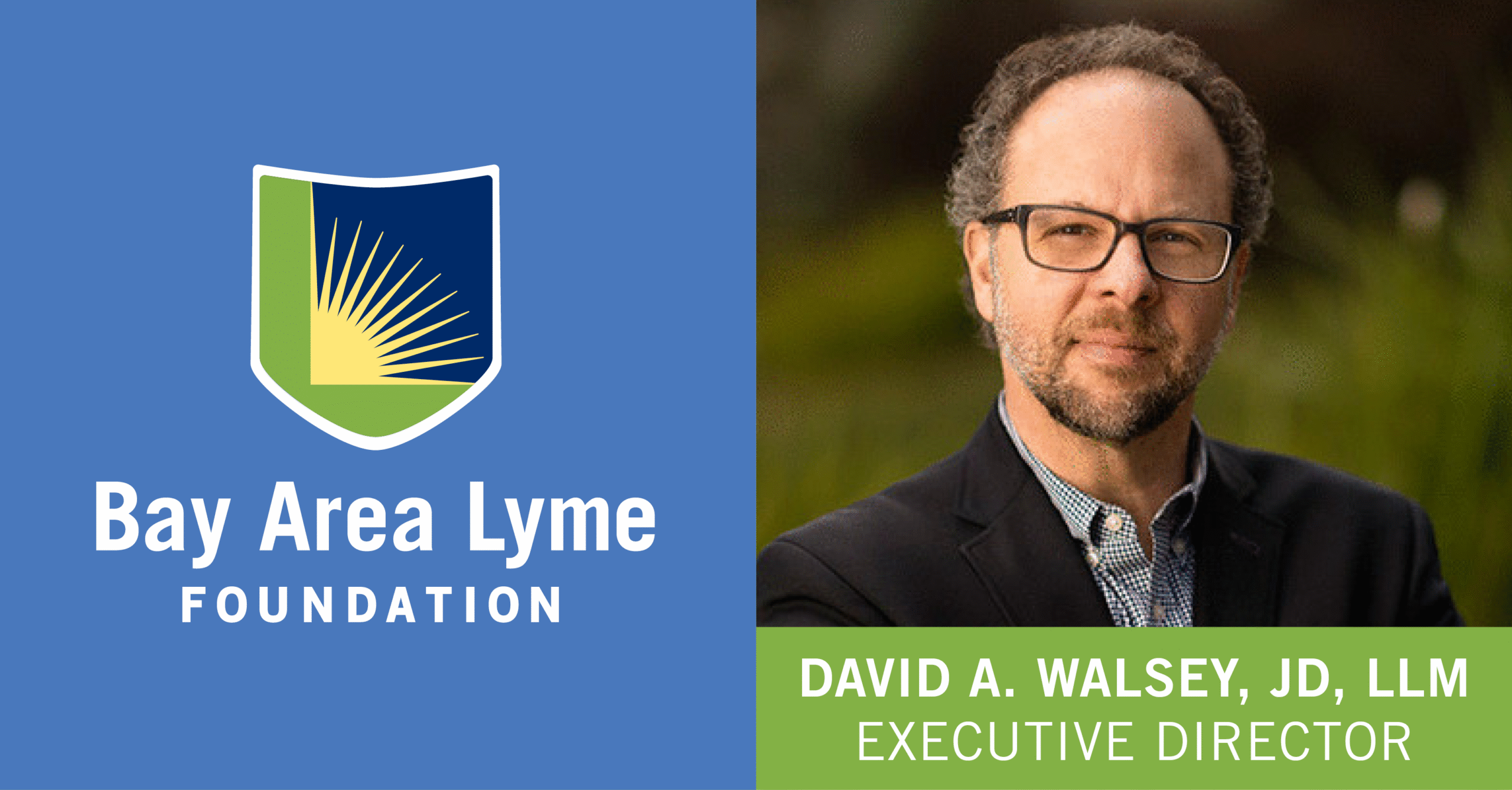 Bay Area Lyme Foundation Highlights Research Leadership and Momentum in ...